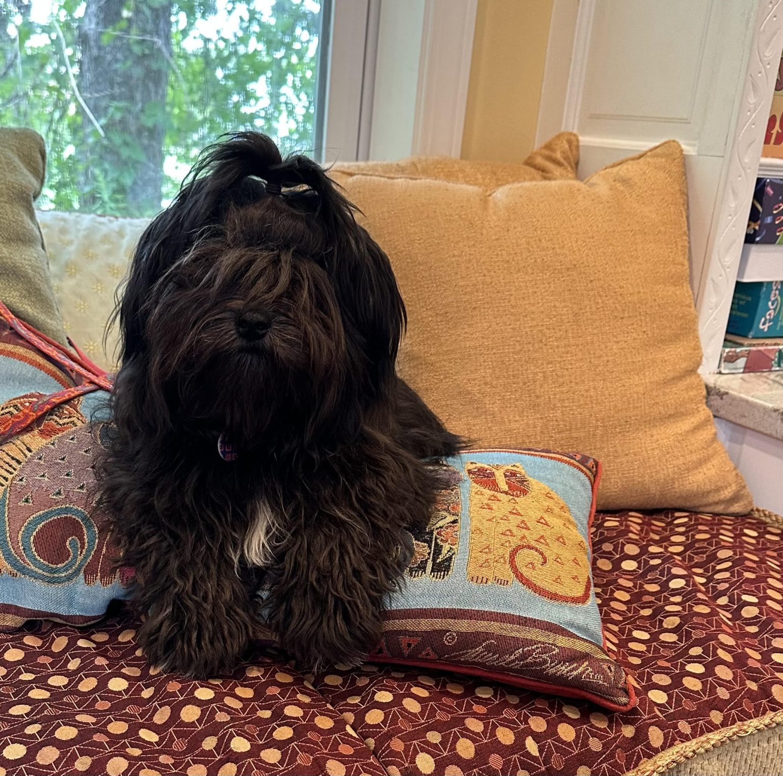 Cindy Poole, PsyD – BOIKE Professional Building